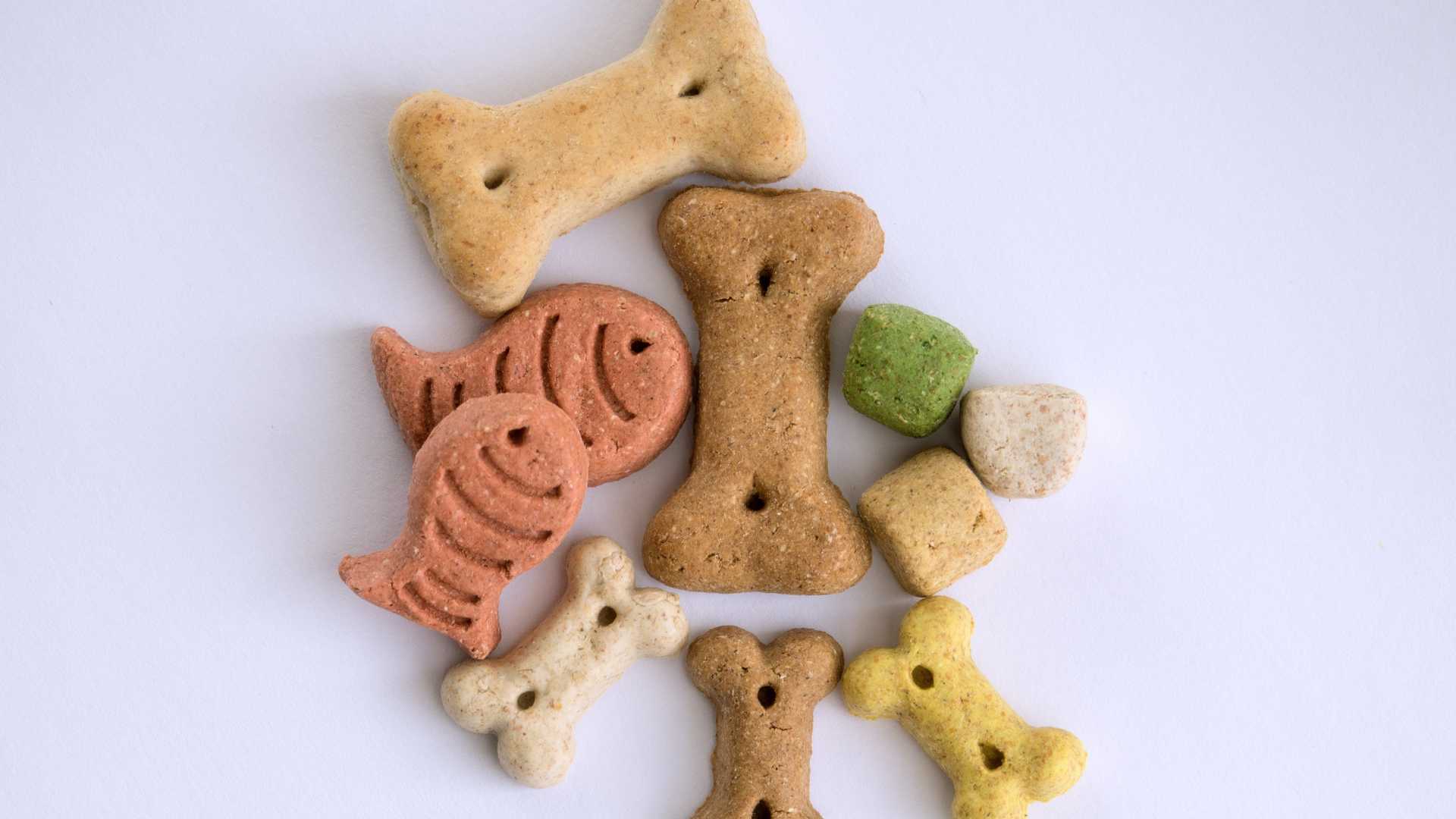 SNACKS PARA PERROS Y GATOS – PATAS Y GARRAS