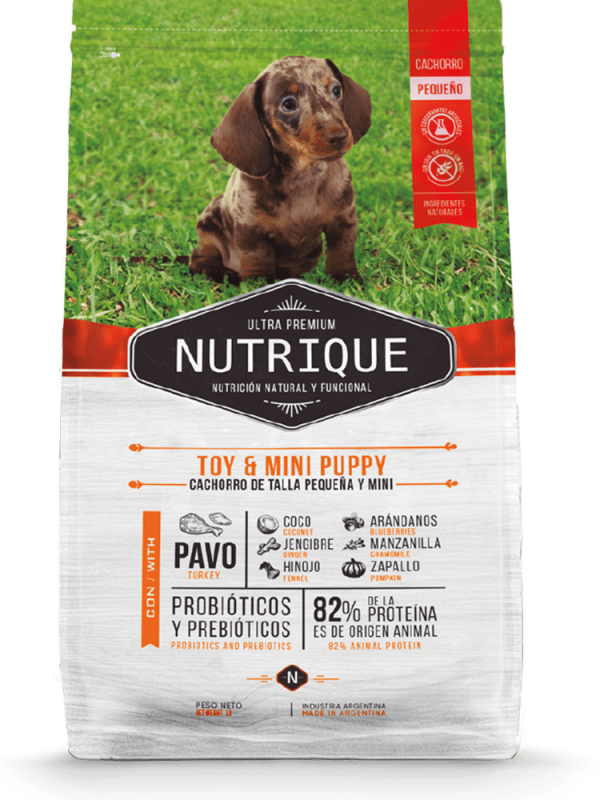 NUTRIQUE PERRO TOY & MINI PUPPY, perro cachorro de talla pequeña (2 a ...